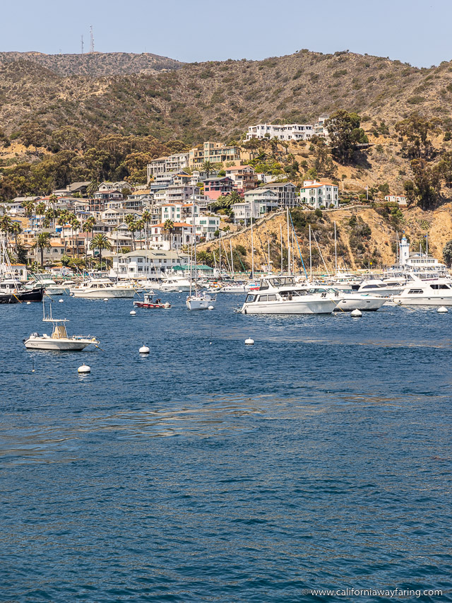 Best Catalina Island Itinerary for California - California Wayfaring